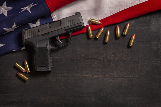 New Jersey Permit to Carry Statistics